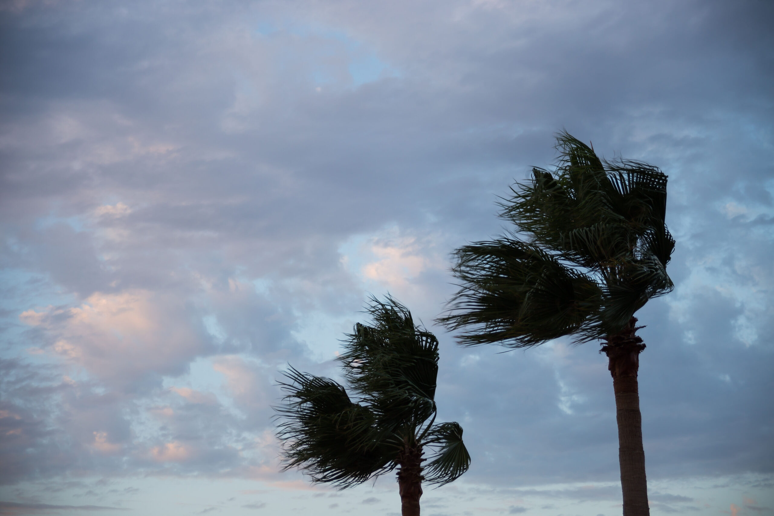 Texas Windstorm Insurance: Get a Free Quote Today